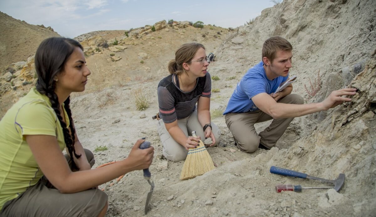 Best Colleges for Paleontology in the USA